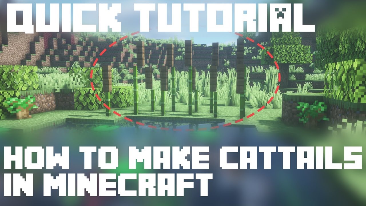 Minecraft Quick Tutorial: Cattails! (#shorts) - YouTube