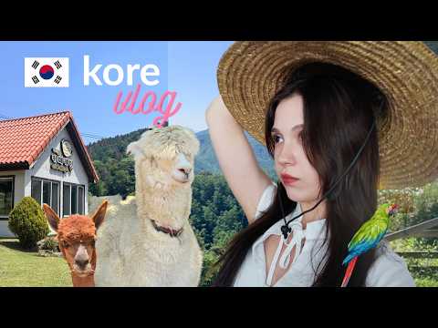 kore kırsalında bir gün 🇰🇷 lama çiftliği ve böcek saldırıları...🦙🌿🧺