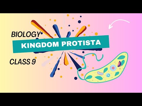 Kingdom Protista #Five kingdom system of classification #class 9#unit 3 ...