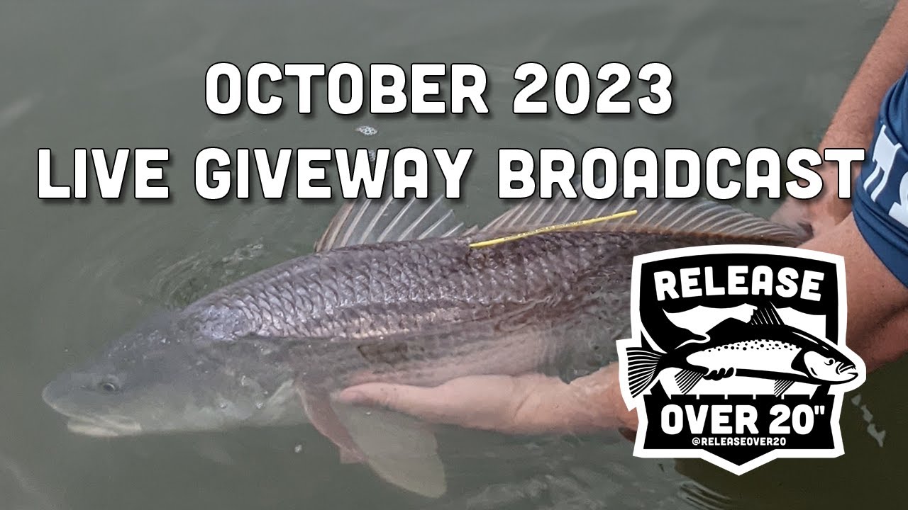October 2023 Release Over 20 LIVE Giveaway - YouTube