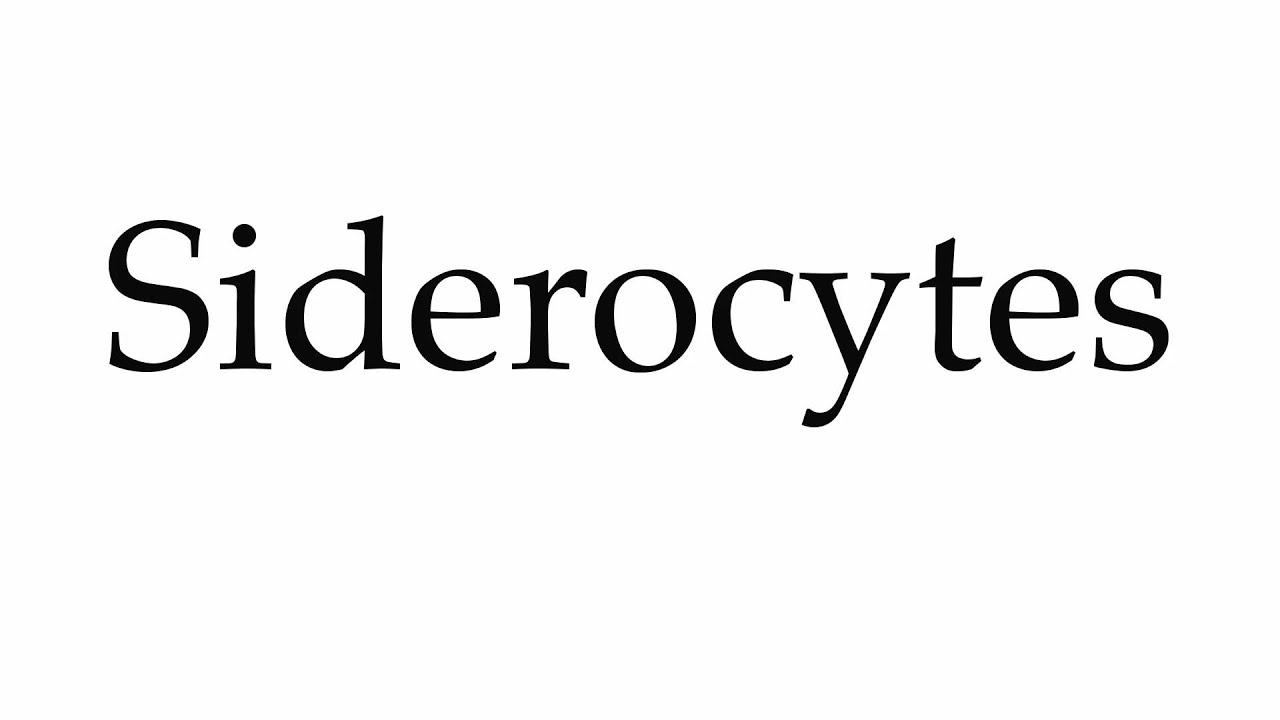 Siderocytes