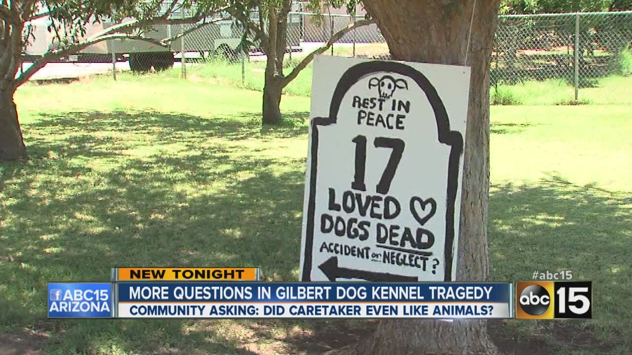 More questions in Gilbert dog kennel tragedy - YouTube