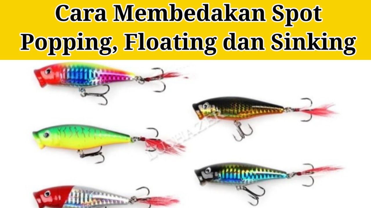 Jenis jenis Lure Casting Ikan Predator - YouTube