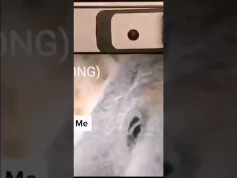 When the FBI Watch You Through Your Webcam #shorts #meme