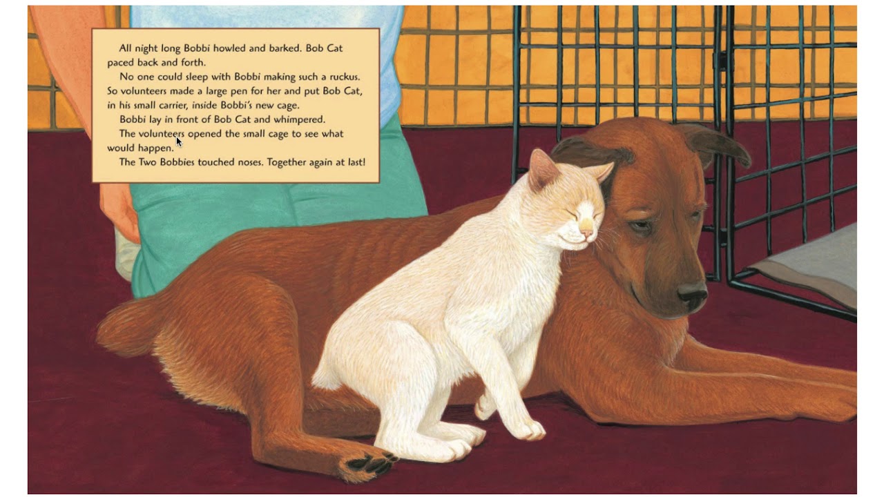 Two Bobbies - YouTube