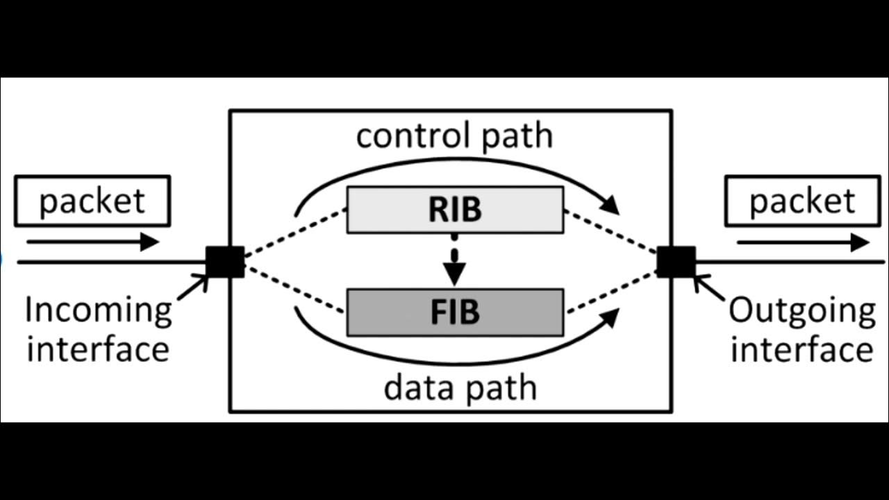 What is the Difference Between the RIB vs FIB and Data Plane vs Control ...