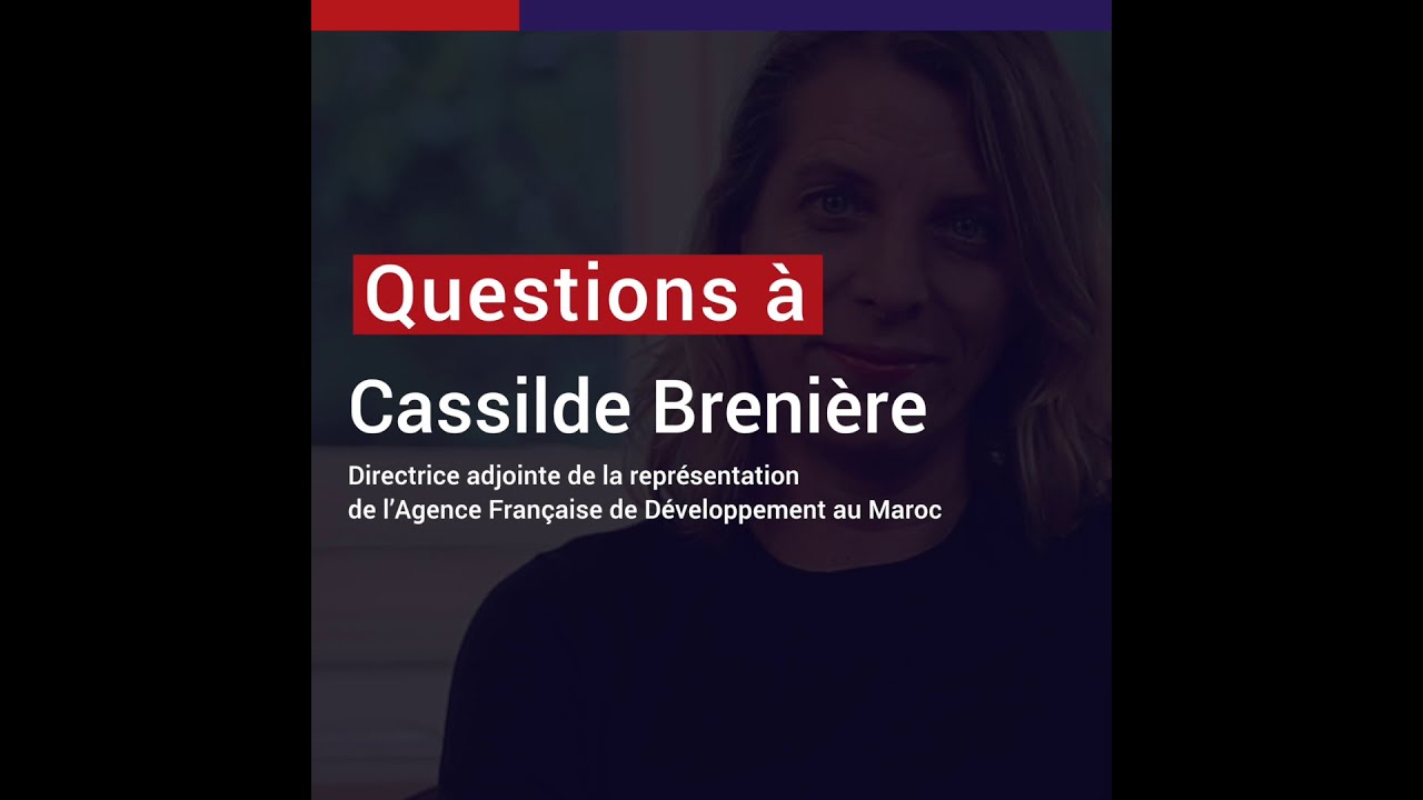 Pourquoi l’AFD soutient la Budgétisation Sensible au Genre ? Cassilde ...