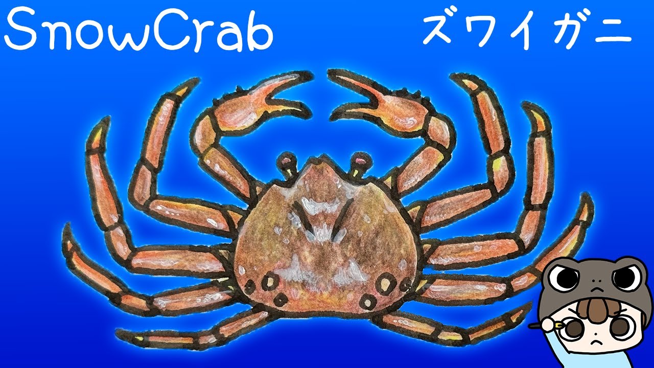How to draw Snow Crab | step by step - YouTube