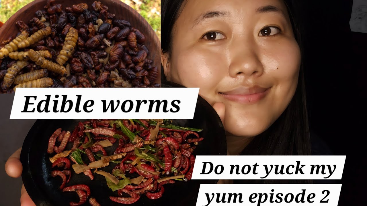 EDIBLE WORMS 🪱 |EPISODE 2 | WOOD WORMS AND SILK WORM PUPAE| RECIPE ...
