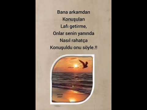 instagram tiktok söz ve video paylaşımı