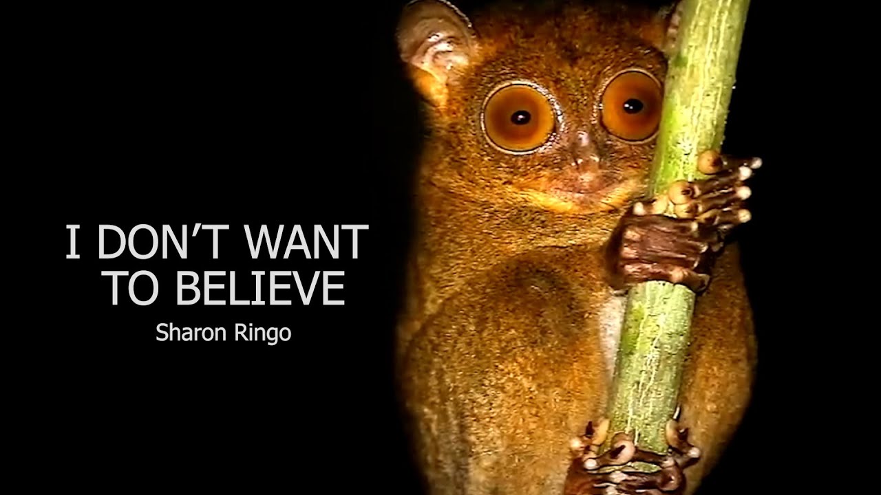 SHARON RINGO: I DON'T WANT TO BELIEVE - YouTube