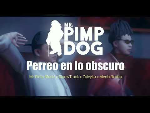 Mr.Pimp Music X SloowTrack X Zaleyko X Alexis Rostro - Perreo en lo Obscuro (Visualizer)