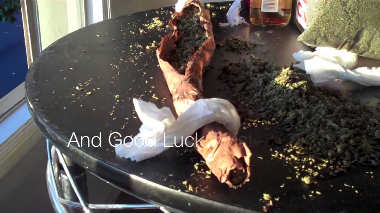 WORLDS BIGGEST BLUNT #includingmusic - YouTube