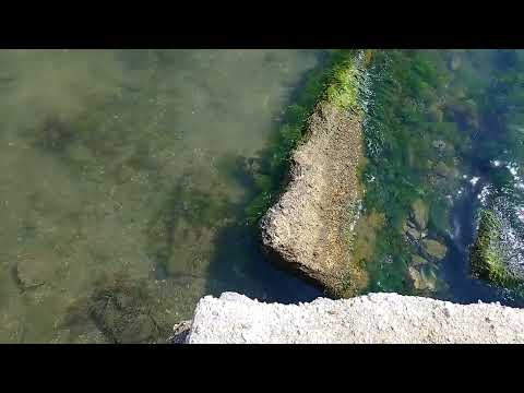 Bursa Gemlik küçük kumla da deniz Pırıl pırıl. 13.08.2022