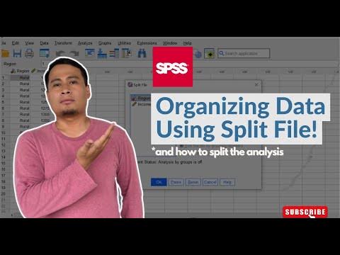 How to Use Split File in SPSS to Analyze Groups Separately - YouTube