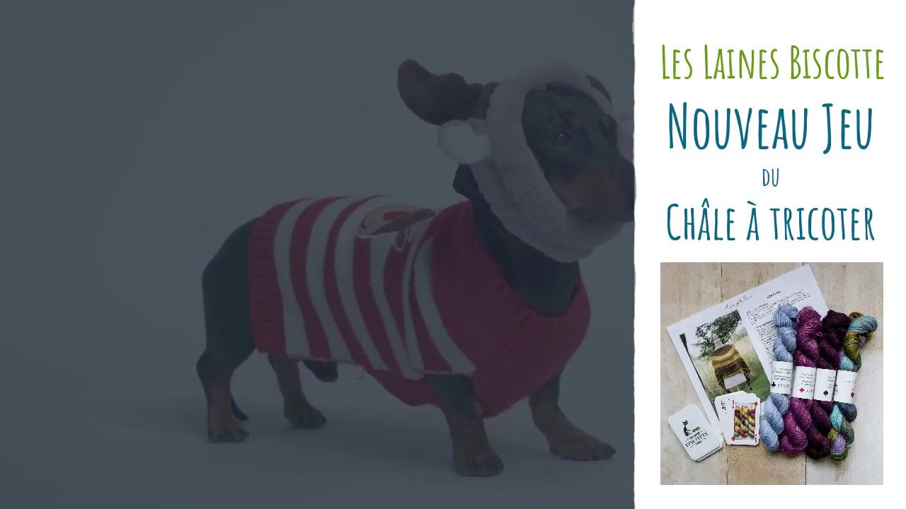 Le Jeu du Châle à Tricoter de Biscotte | Le kit de tricot qui se joue ...