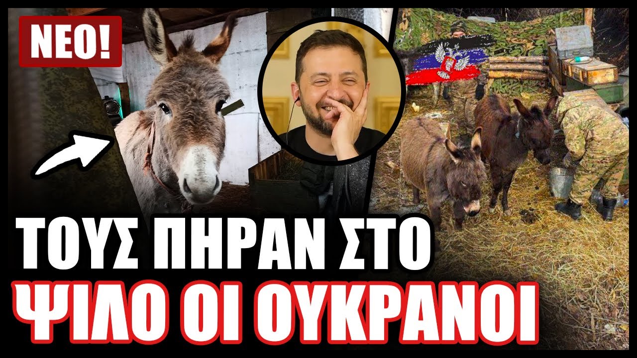 Βίντεο: Οι Ρώσοι μετέφεραν γάιδαρους στο μέτωπο της Ουκρανίας! Δείτε ...