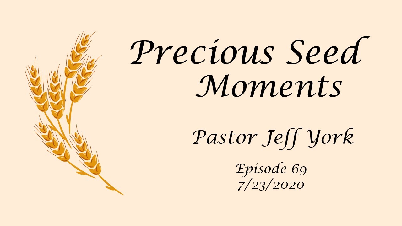 Precious Seed Moments - Episode 069 - 7/23/2020 - YouTube
