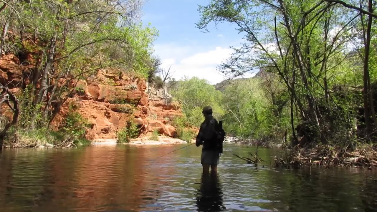 Red Rocks and Rainbows | Fly Fishing Arizona - YouTube