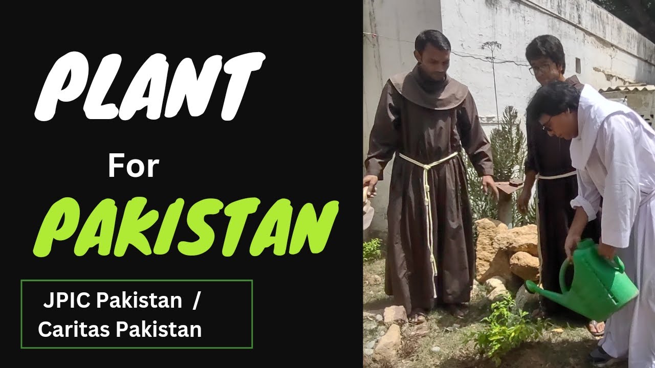 Tree Plantation | Plant for Pakistan | Ecology | Laudato si ...