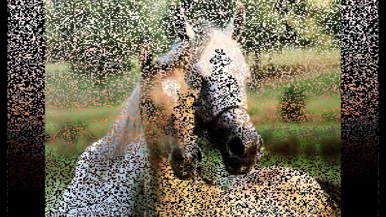 Reinaldo Armas La Muerte del Rucio Moro - YouTube