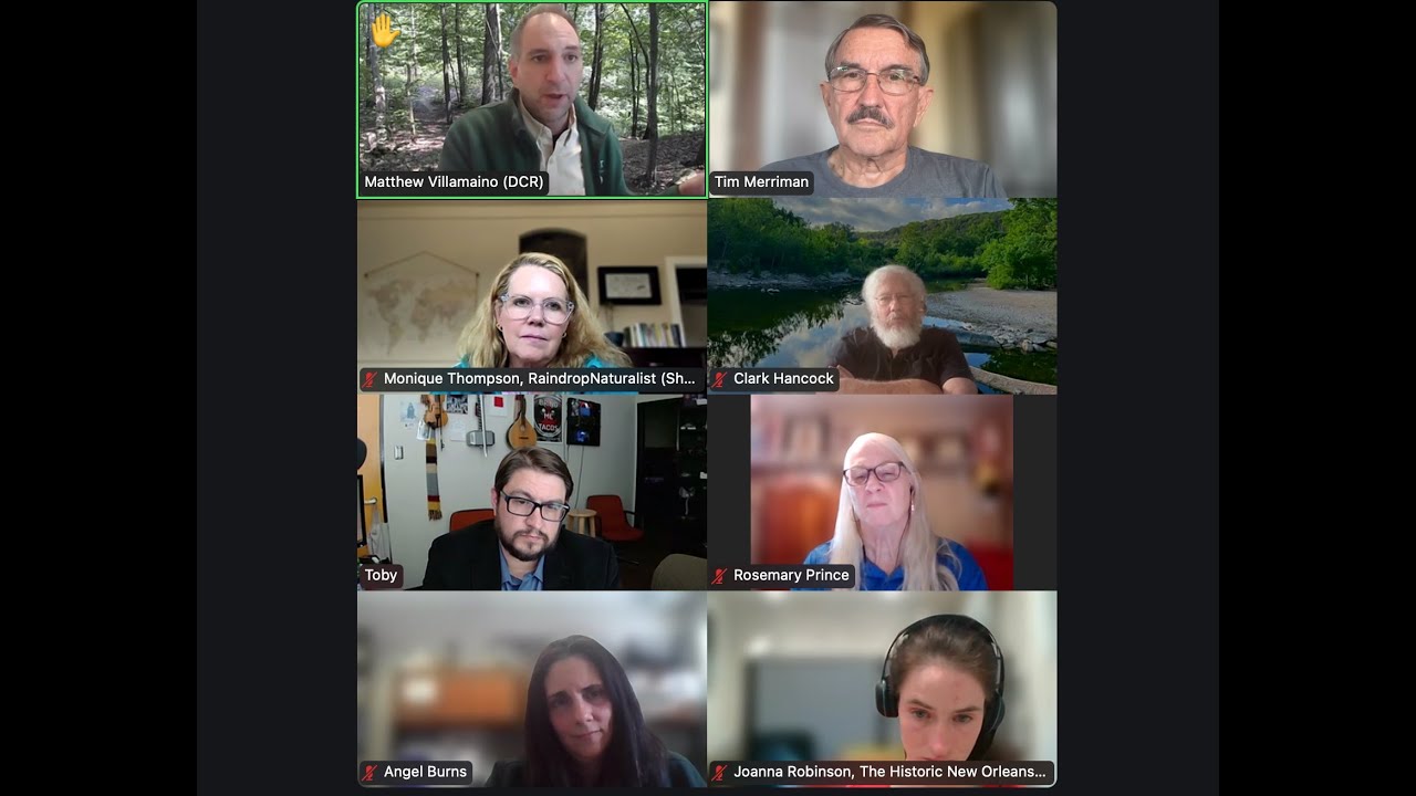 Reflections on Interpretation: Chat with Toby Merriman about Artificial ...