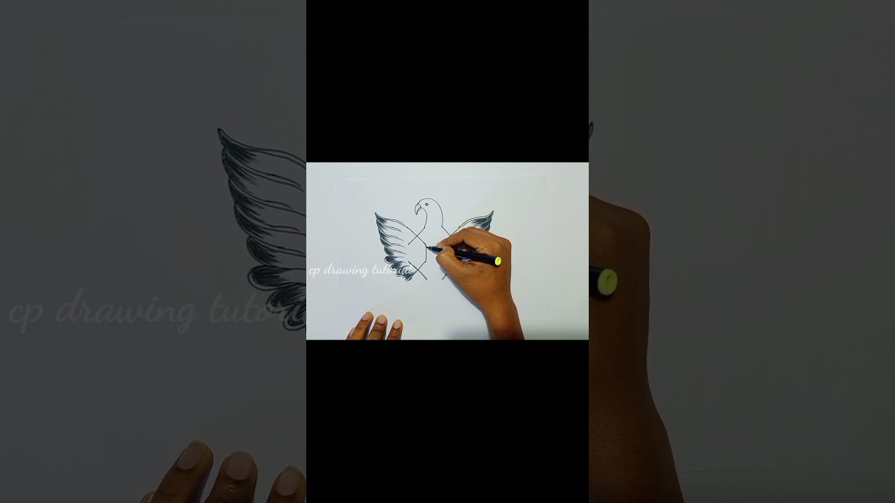 cp drawing tutorial / eagle drawing tutorial / short video / eagle draw ...