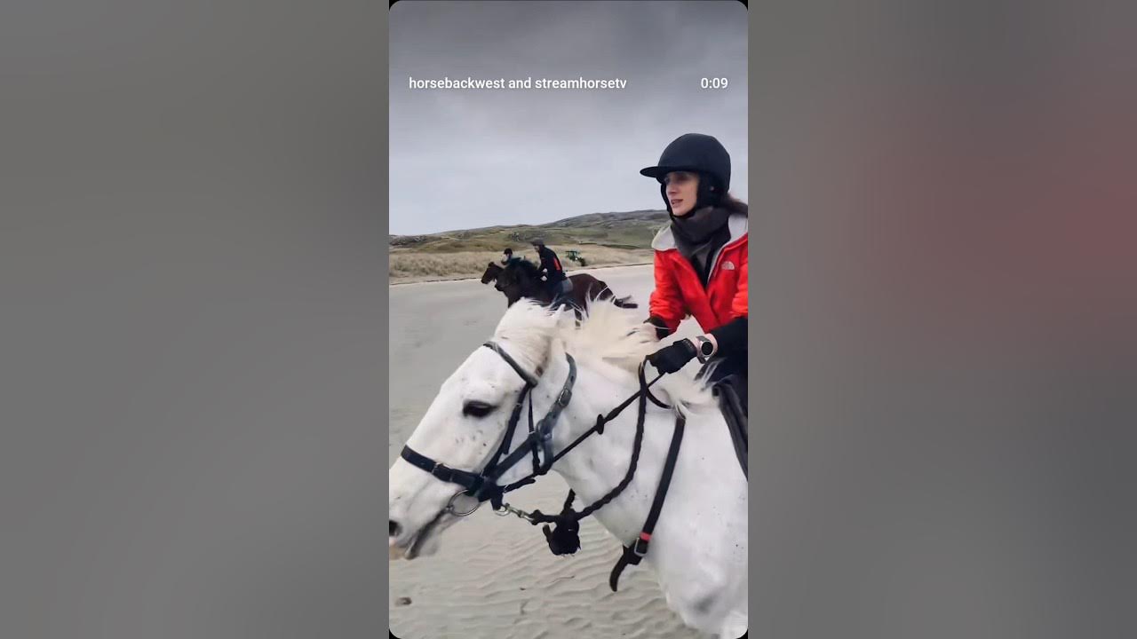 Irish unicorns! Fly my pretties! 🦄 🇮🇪 - YouTube