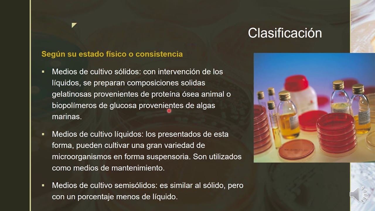 MEDIOS DE CULTIVO - YouTube