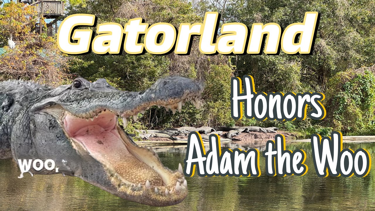 Gatorland - Searching for the Gator they Call “The Woo” #gatorland # ...