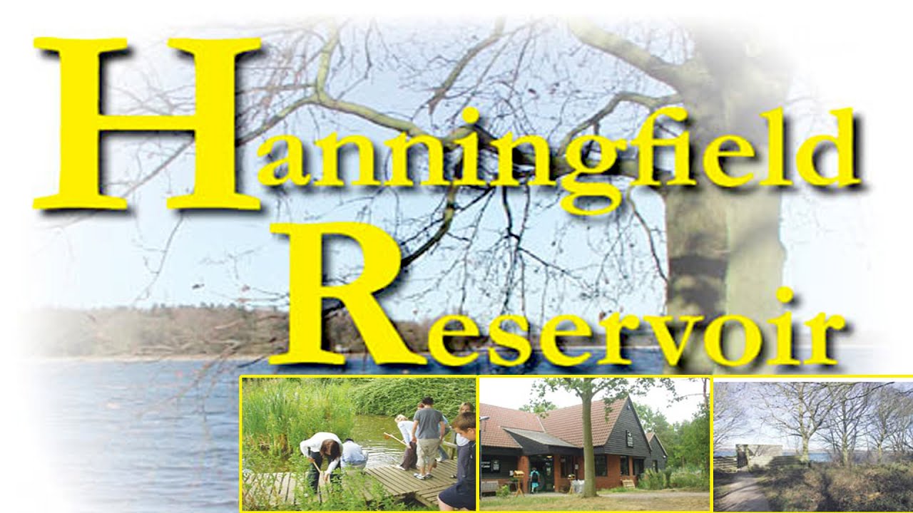 "Hanningfield Reservoir: A Scenic View of Nature and a Hub for Wildlife ...