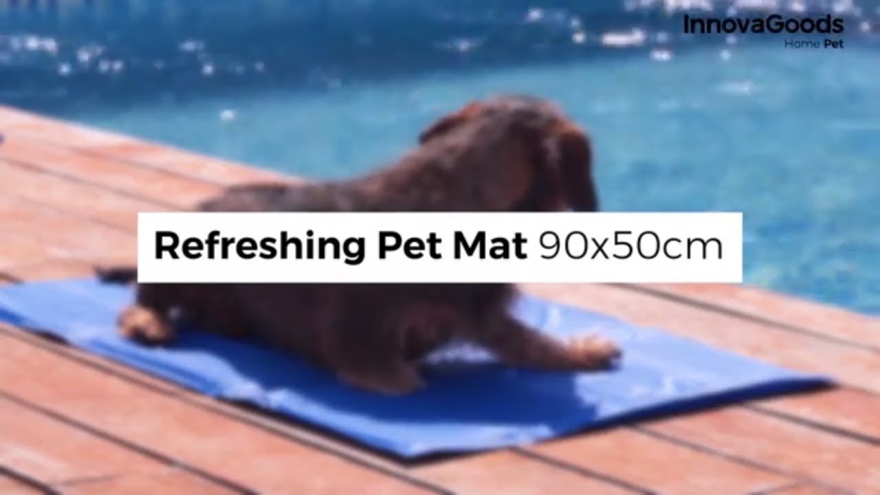InnovaGoods Home Pet Refreshing Pet Mat 90 x 50 cm - YouTube