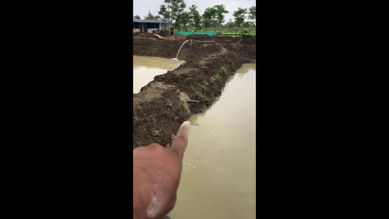 PREPARATION OF OUTLET FOR THE POND /तालाब के लिए निकास का निर्माण - YouTube