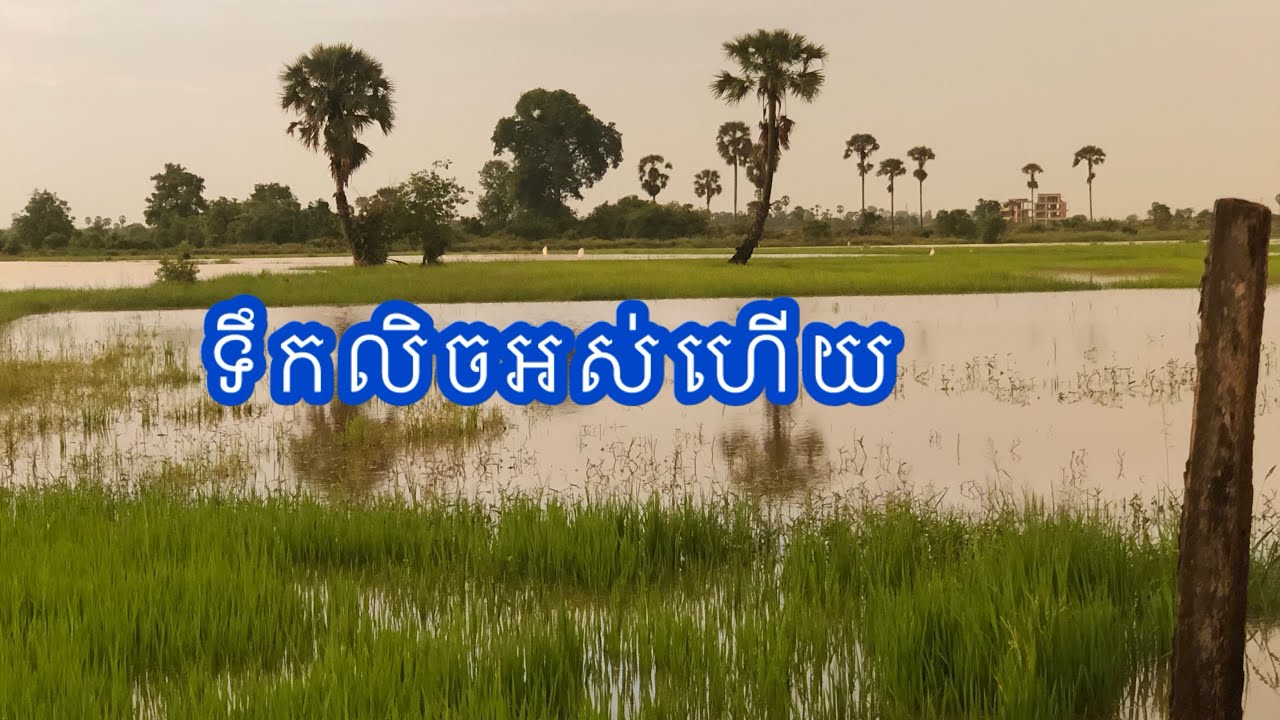 ទឹកលិចអស់ទៀតហើយ - YouTube