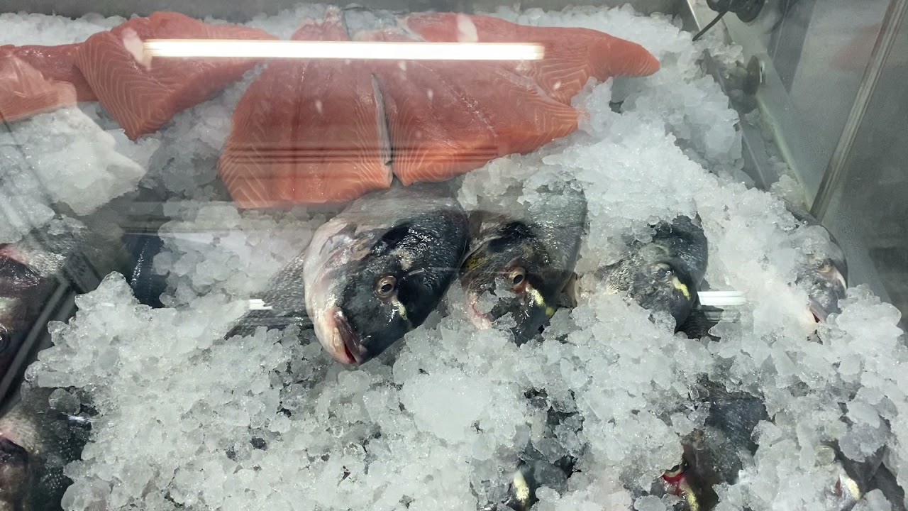 Its all about Fish // # Denis - YouTube