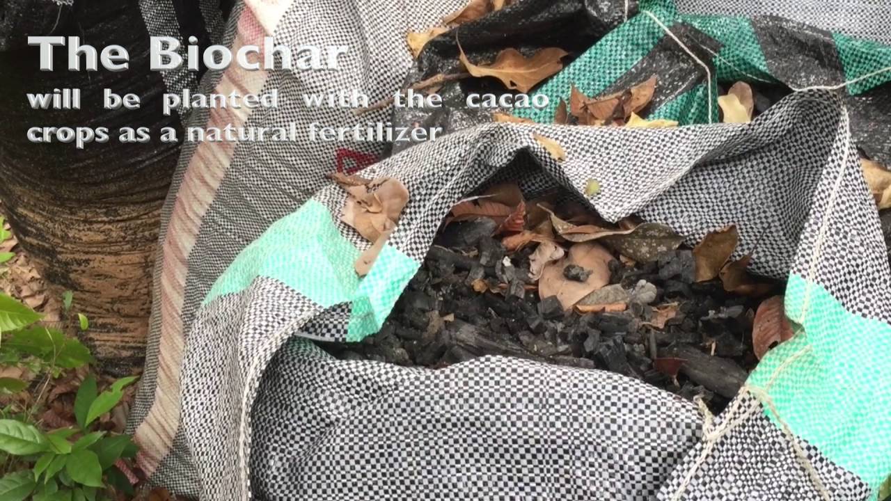 Soil In The Amazon Rainforest - YouTube