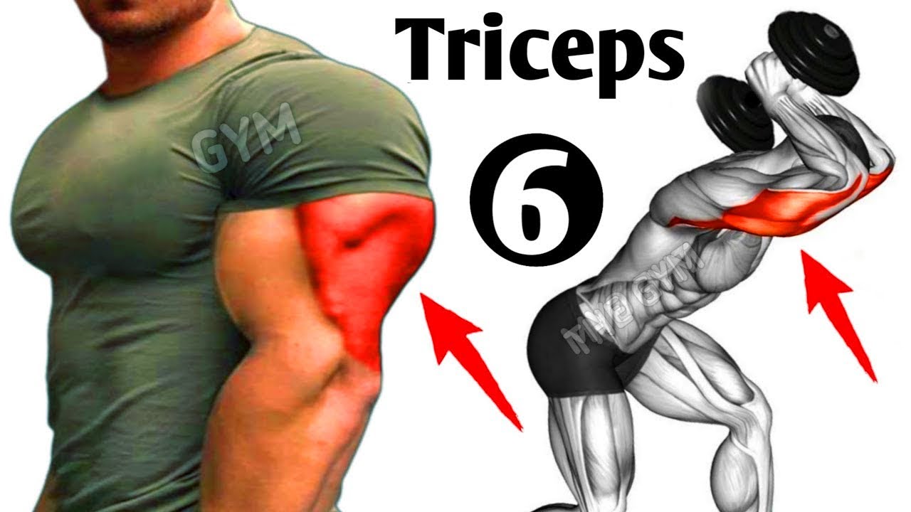 Top 7 Exercises For Bigger Triceps - Triceps Workout - YouTube
