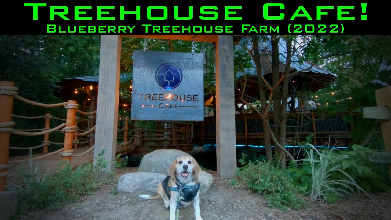 Blueberry Treehouse Farm! (2022) - YouTube