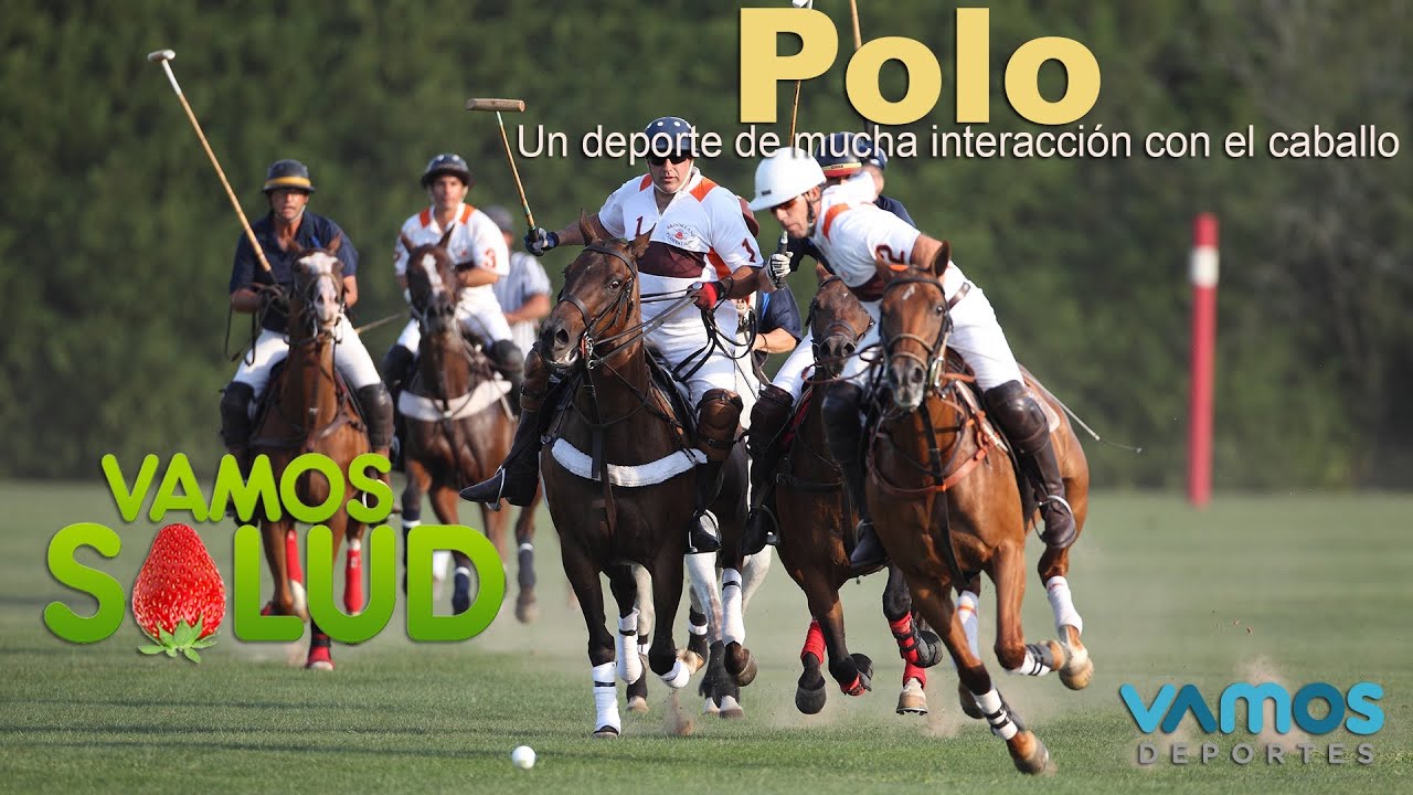 Vamos Salud: El Polo es un deporte competitivo - YouTube