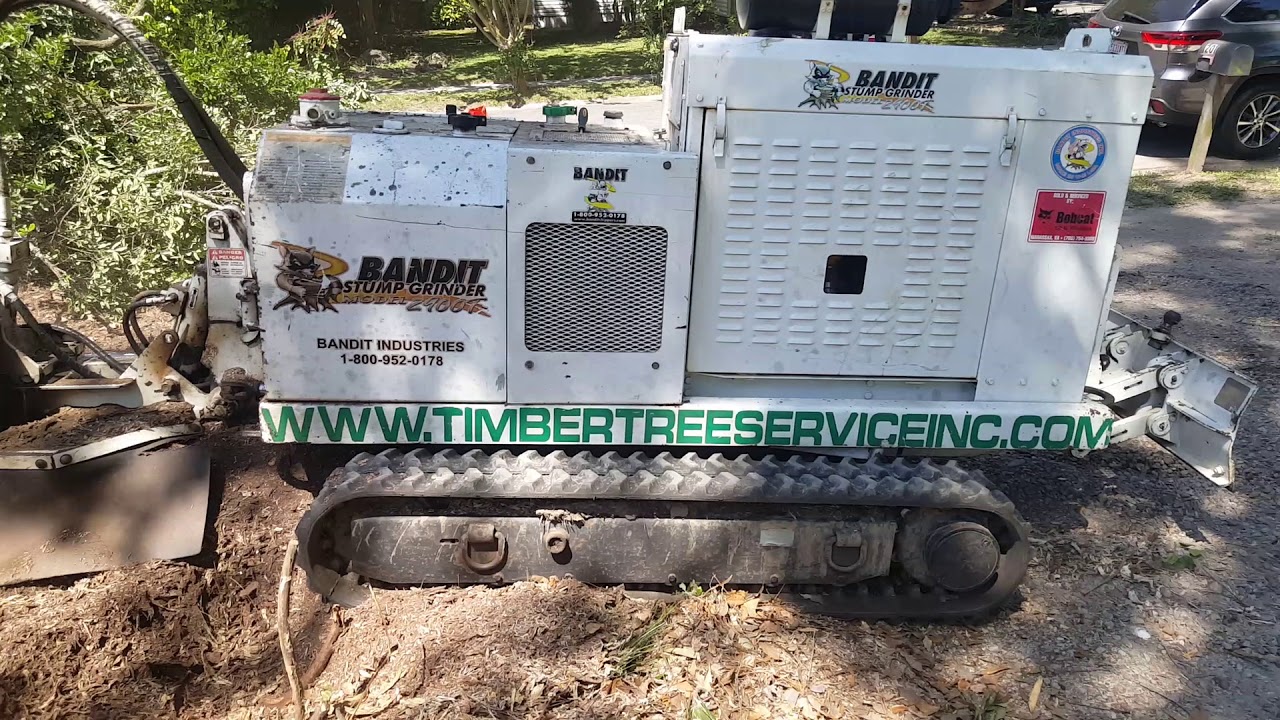 Timber Tree Service (Bandit 2900T) - YouTube