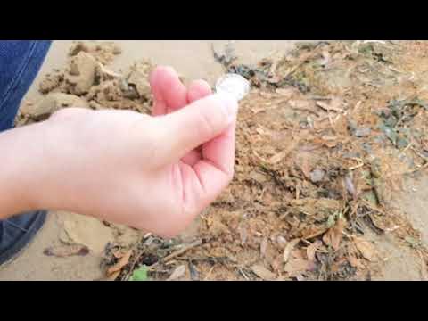 FOMTECT Promaster - M2 поиск 2 - YouTube