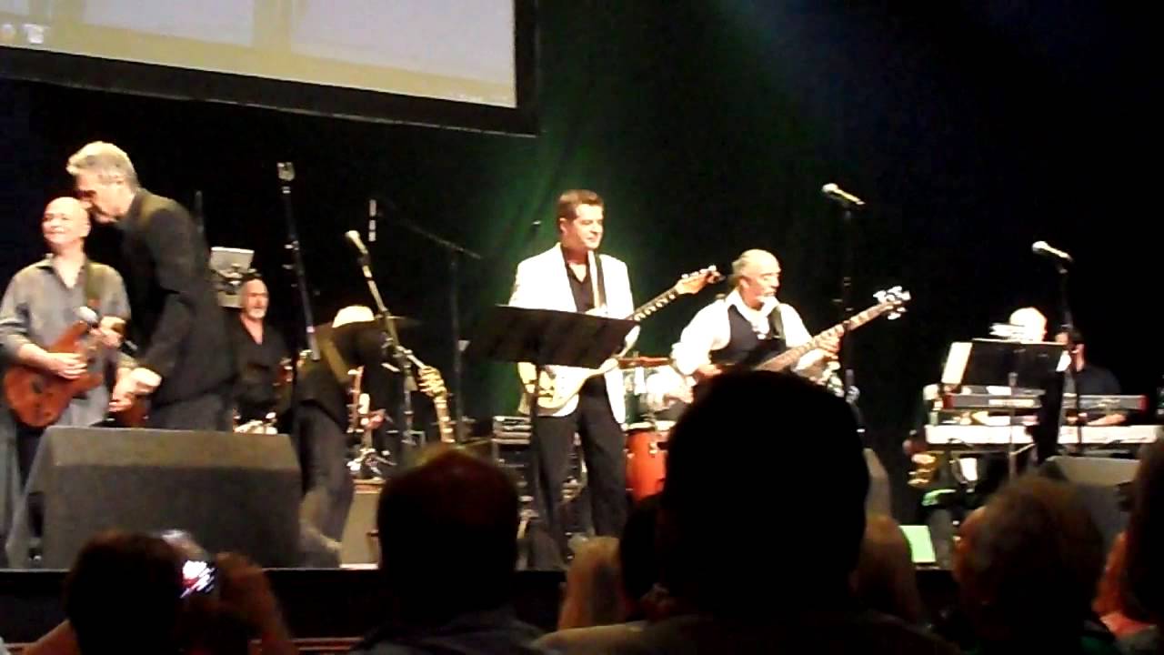 The Buckinghams - Back In Love Again (Live) - YouTube