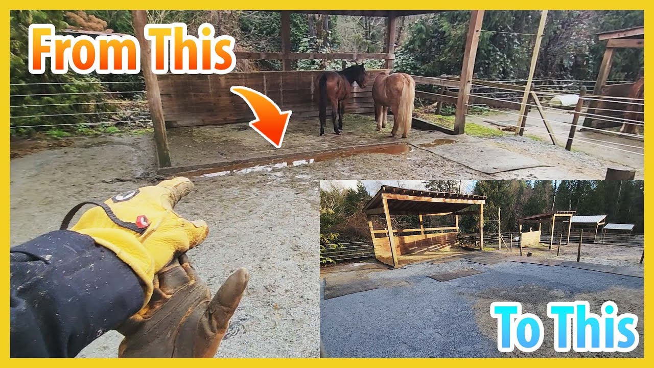 How To Resurface A Horse Paddock Properly - YouTube