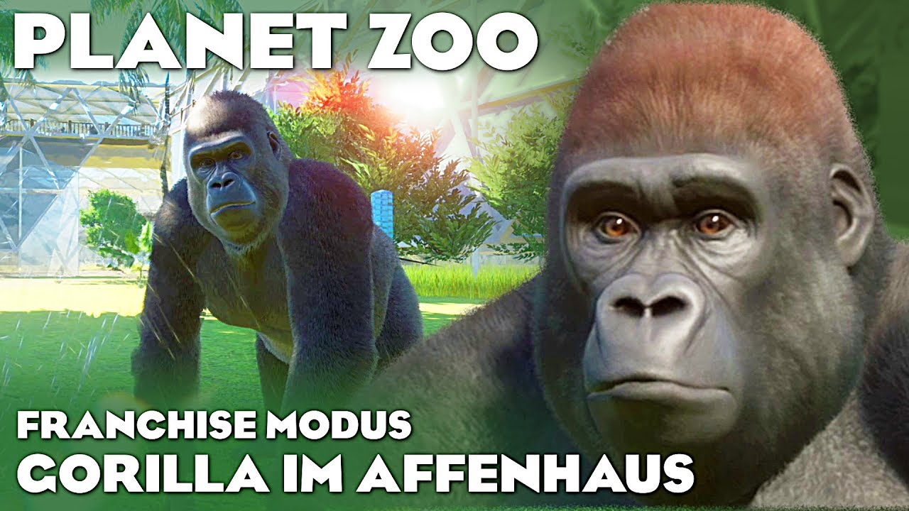 PLANET ZOO NEUER GORILLA Planet Zoo Deutsch German Franchise #3 - YouTube