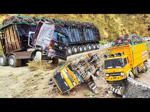 BIKIN RUSUH Dump Truk Trailer Hino 500 Muatan SAWIT Truk FUSO 220Ps Trinton OFROAD Truk LAKA LINTAS