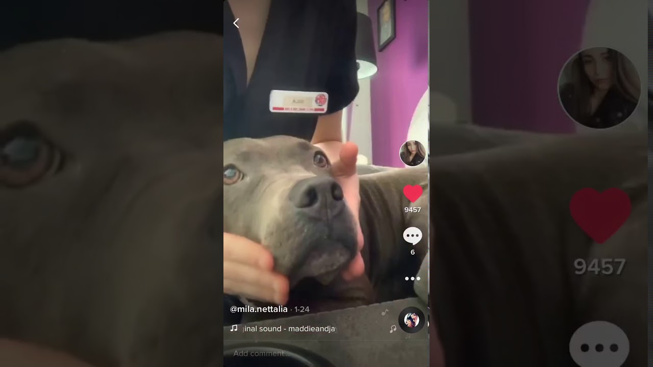 Do you have a little pitty - YouTube