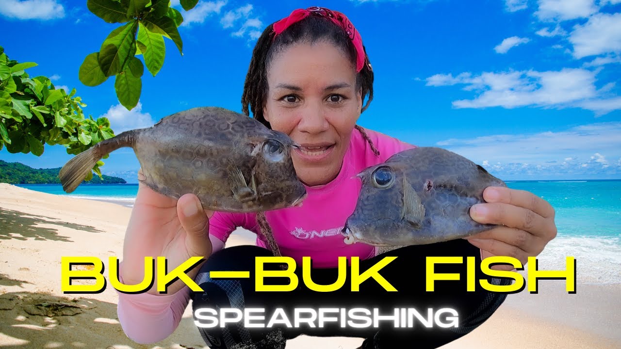 SPEARFISHING DELICIOUSE BUK BUK FISH - ISLAND LIFE - YouTube