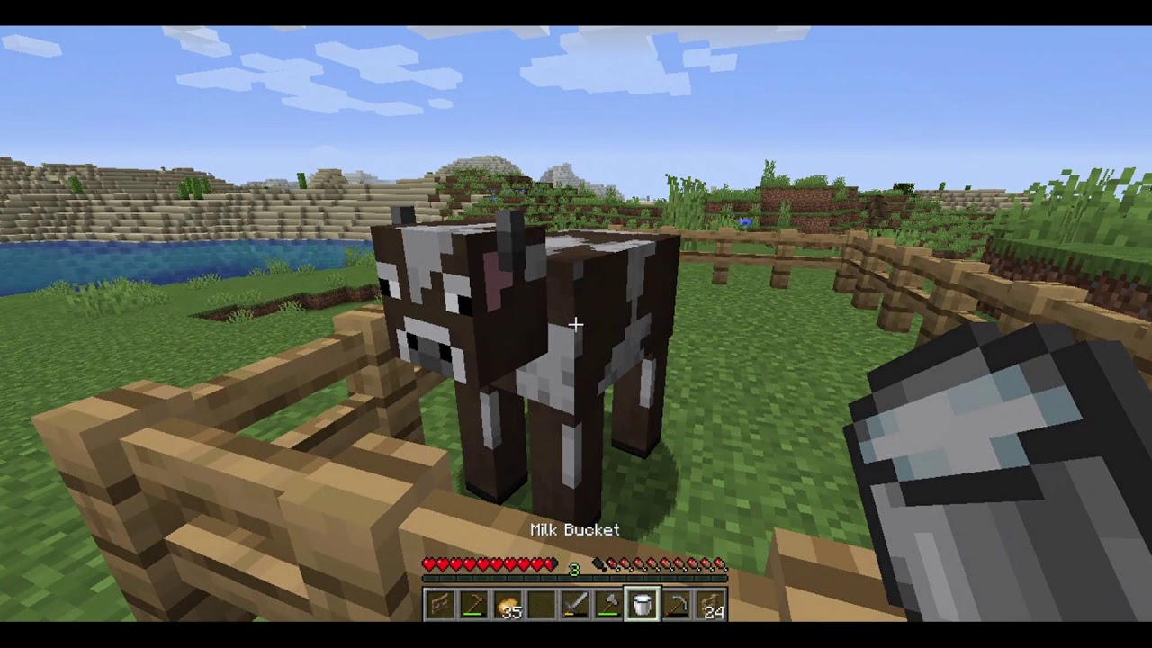 Hindi Minecraft Gameplay | house and surroundings fun entertainment ...