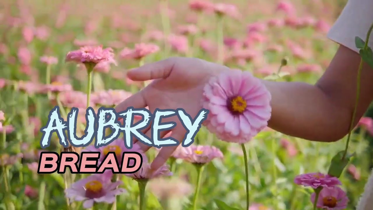 Bread Aubrey Lyrics Hq Audio Youtube 8620