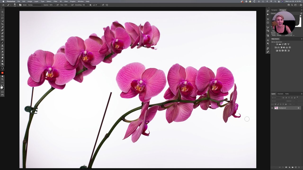 Making Selections in Photoshop Part II: Using Color Range & Channels ...